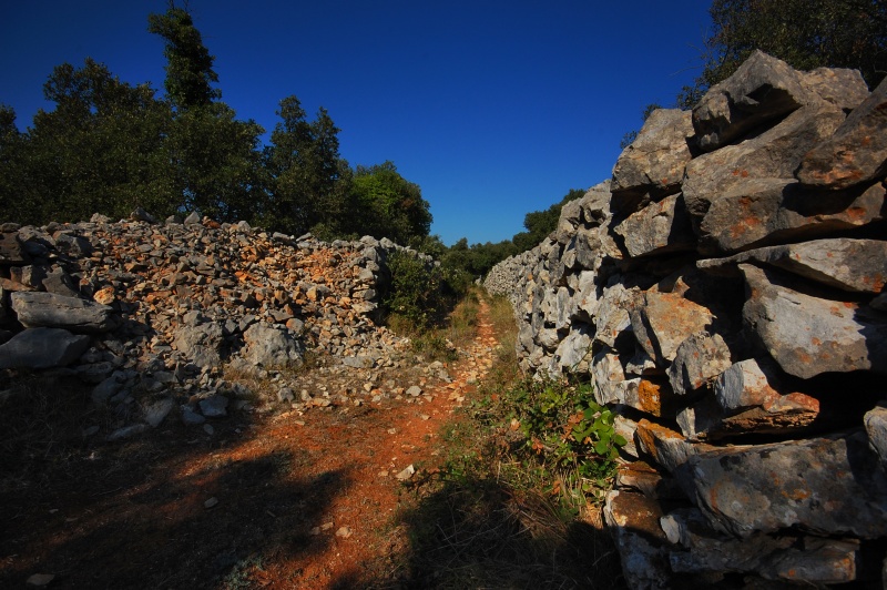Walled Gardens of Olib