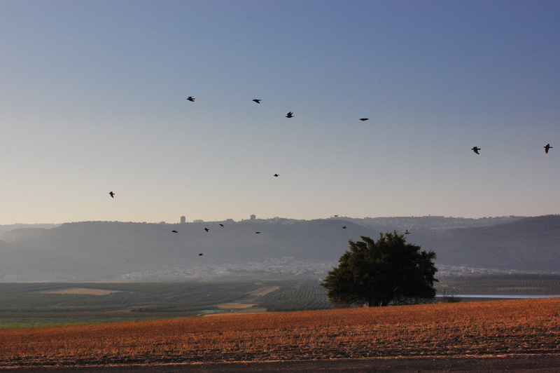 Ahuzat Barak, Israel