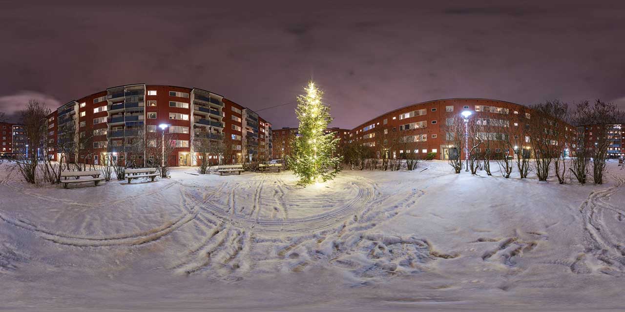 Husby Christmas Trees