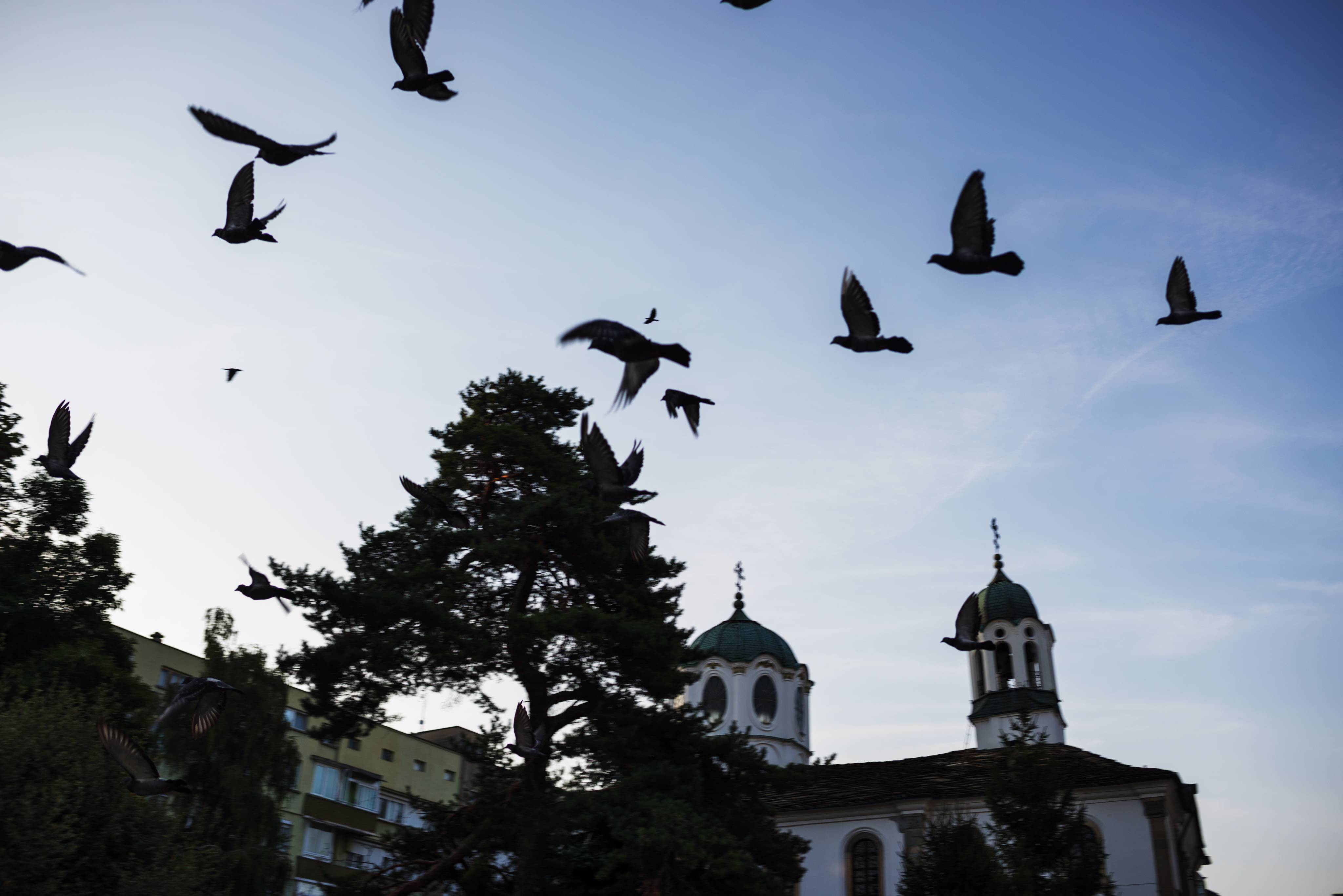 An Early Morning Walk Through Gabrovo